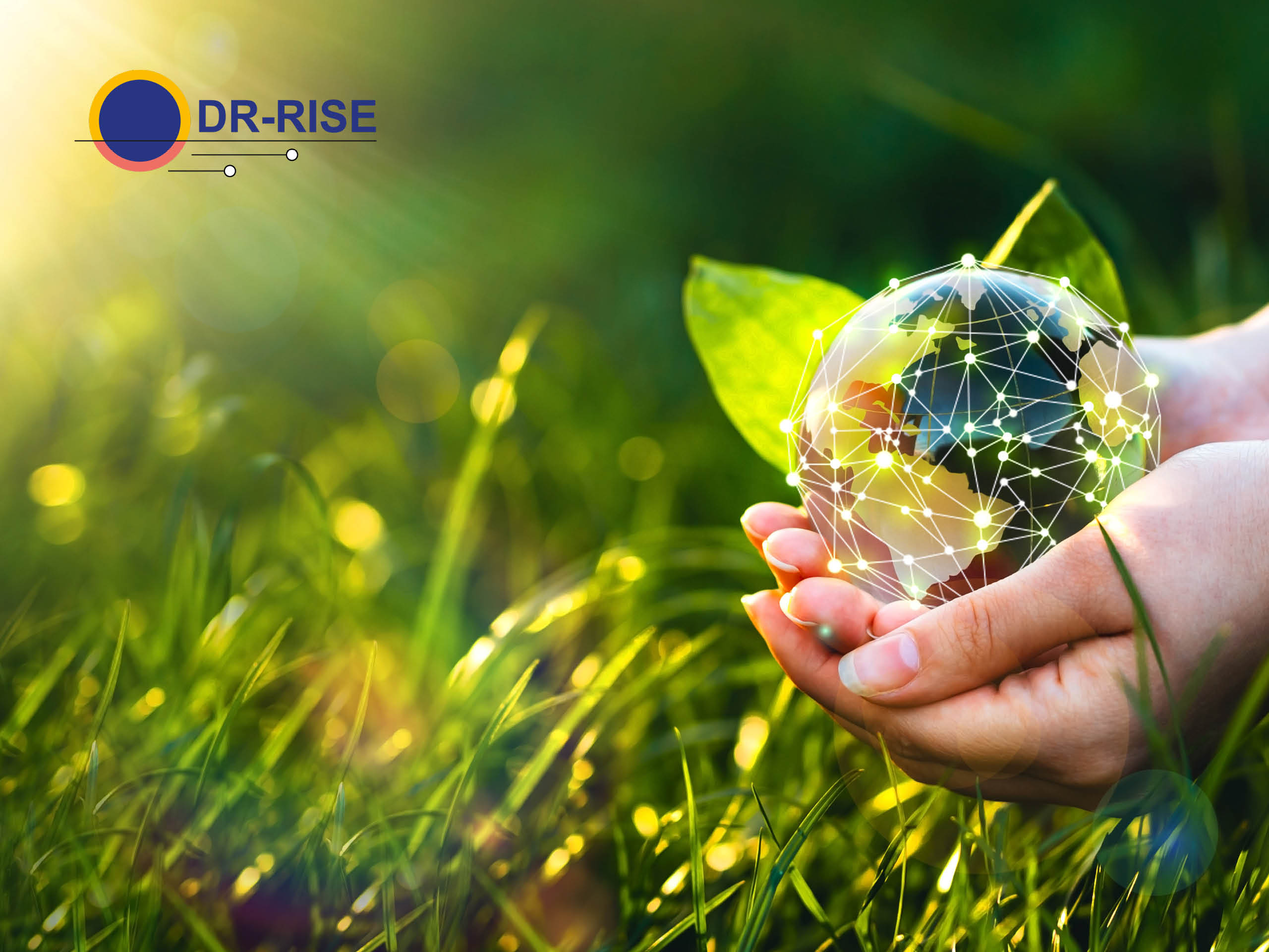 For Foscarini DGS designs demand, distribution and planning ...